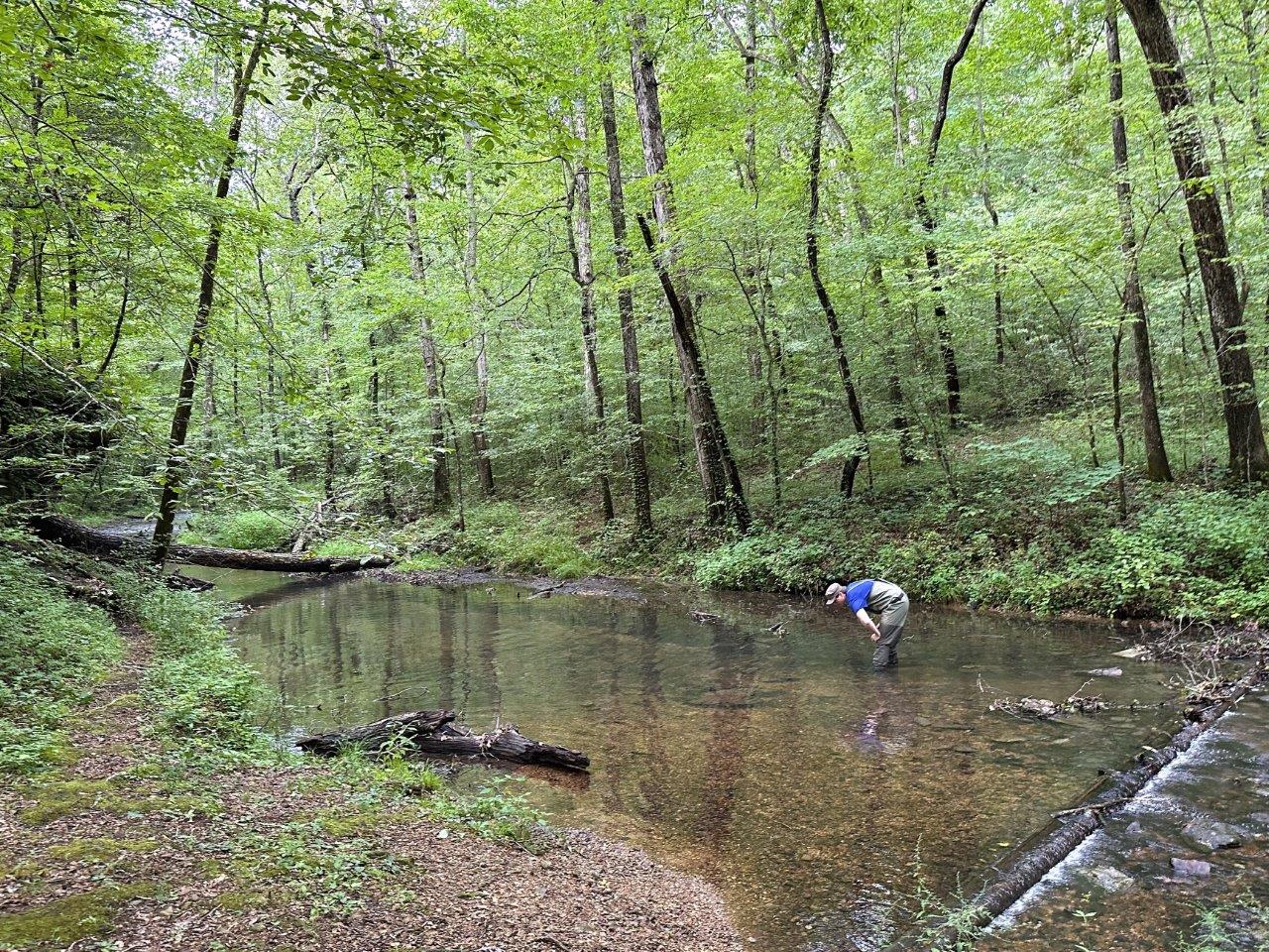 Buff Crouch | 1000fish's Blog - Steve Wozniak's hunt for fish species